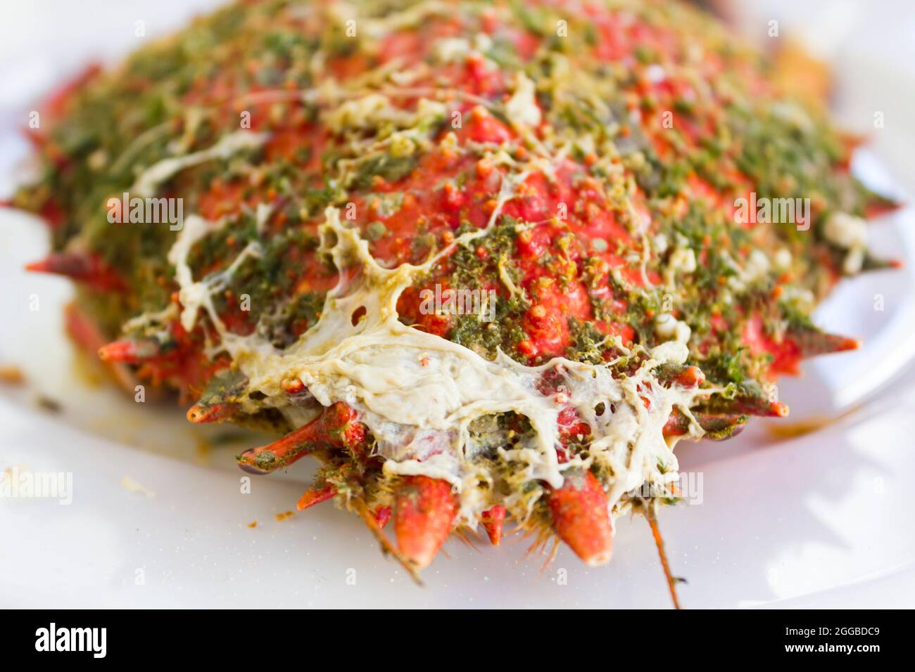 Spider crab shell Stock Photo - Alamy