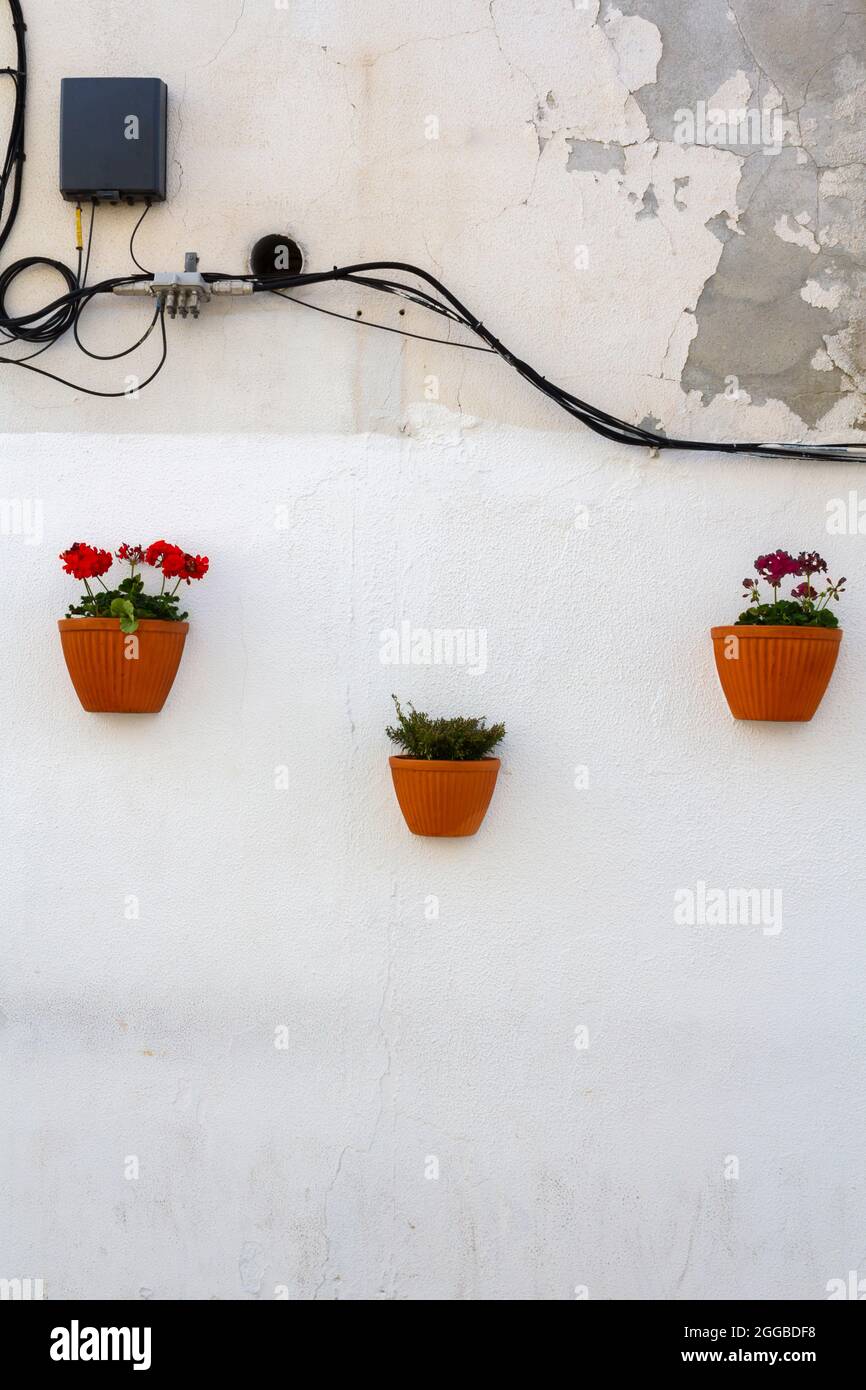 Flowerpots and electricity cables on white wall Stock Photo - Alamy