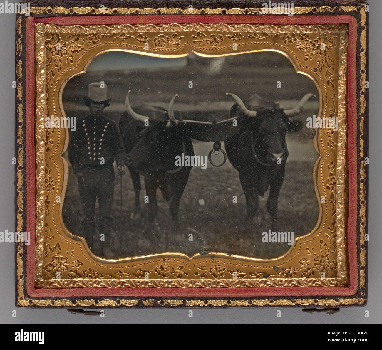 Untitled (Portrait of Man with Two Oxen), 1852. A work made of ...