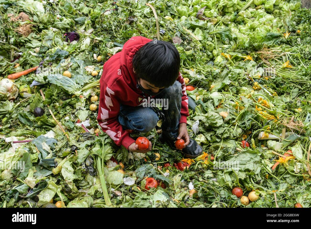 Garbage mexico city child hi-res stock photography and images - Alamy