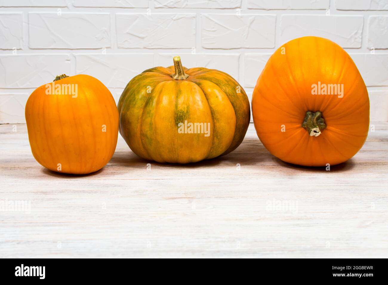 Three pumpkins of different sizes and shapes, standing in a row on a ...