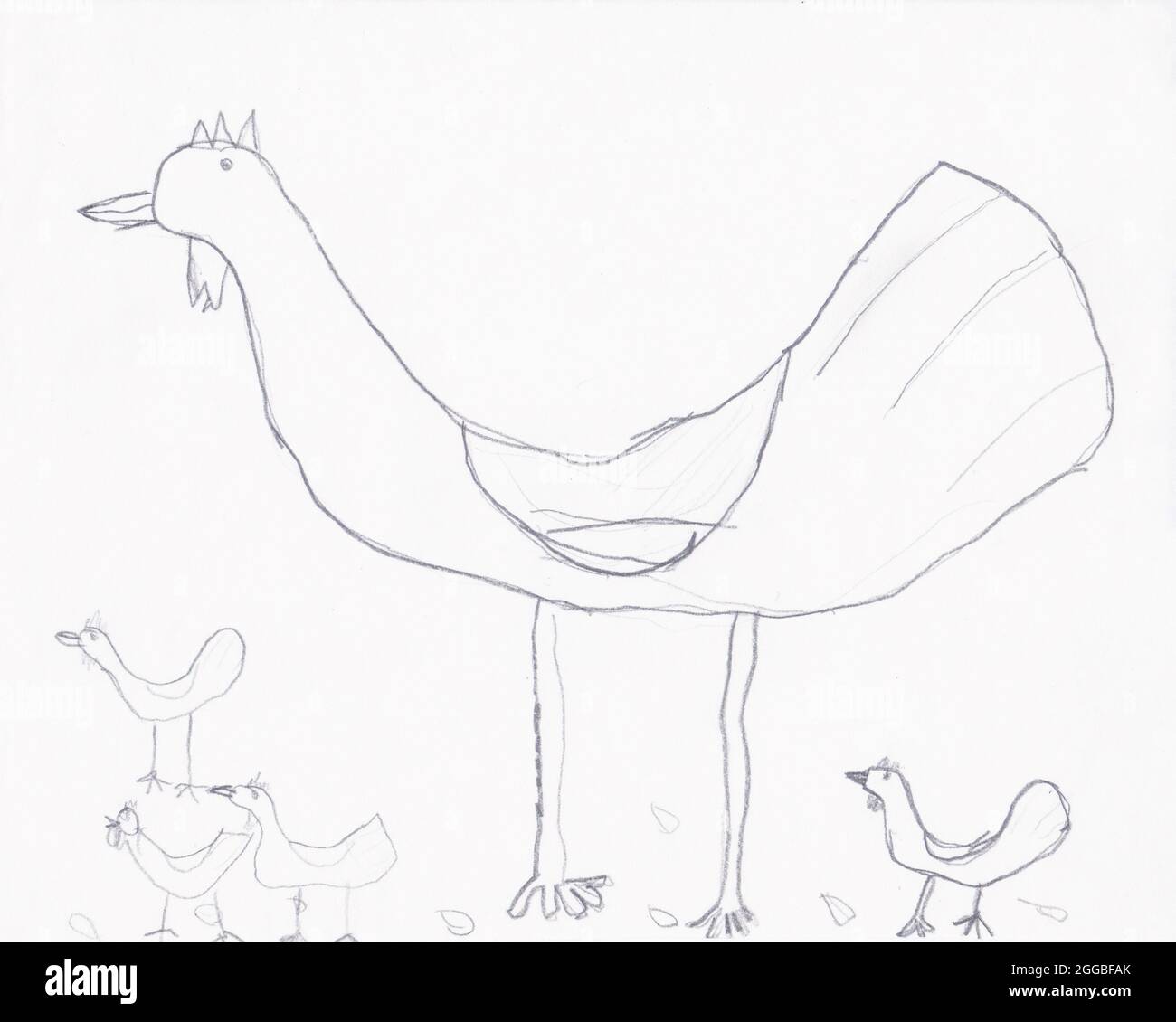 Children's Pencil Drawing of Chickens Stock Photo - Alamy