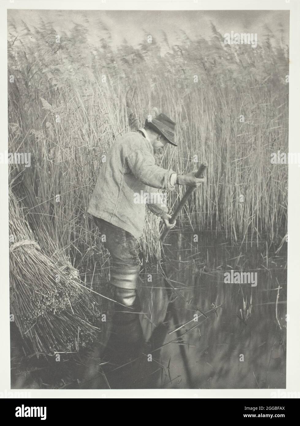 A Reed-Cutter at Work, 1886. A work made of platinum print, pl. xxv ...
