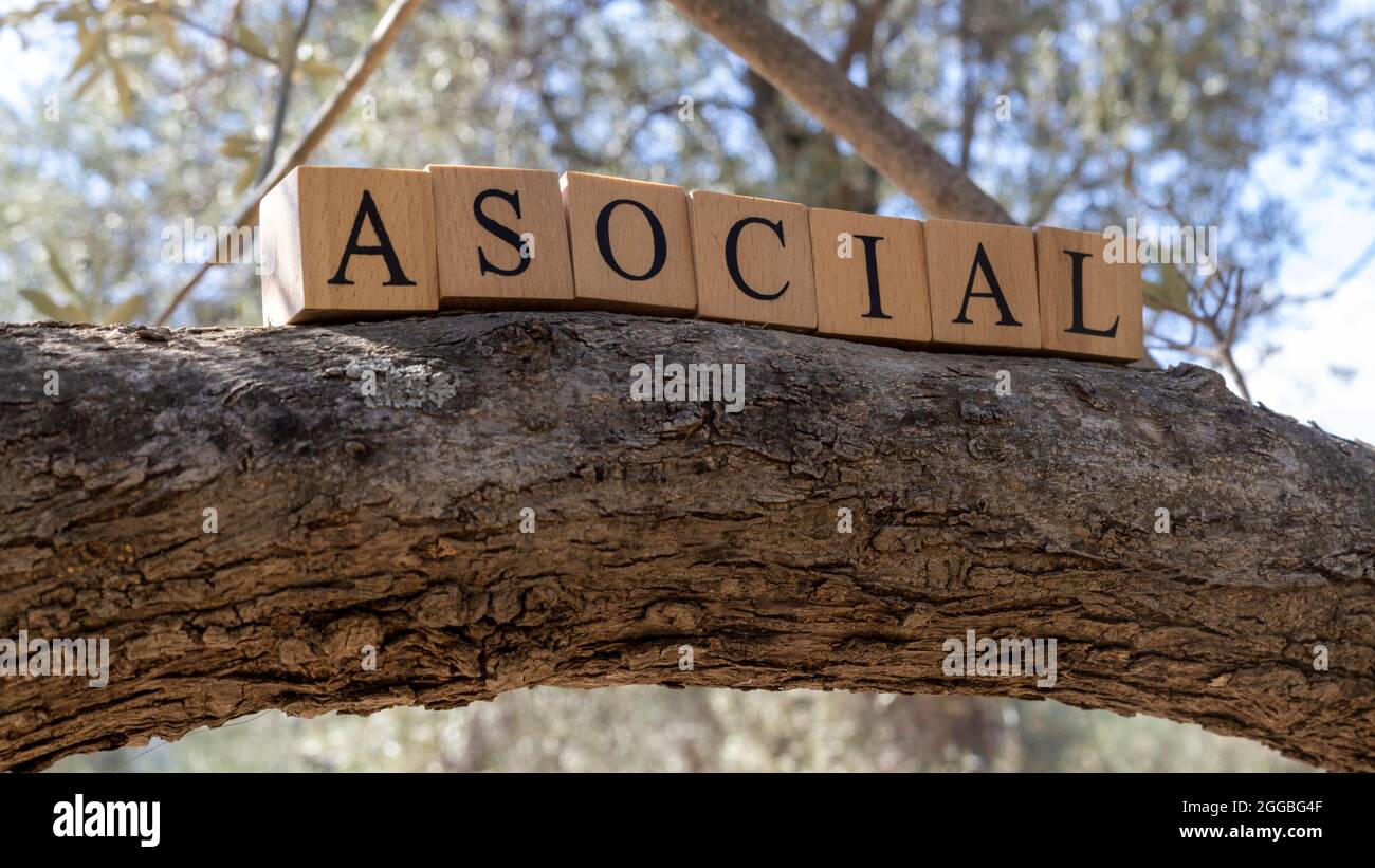 Word Asocial created from wooden cubes. Photographed on the tree Stock ...