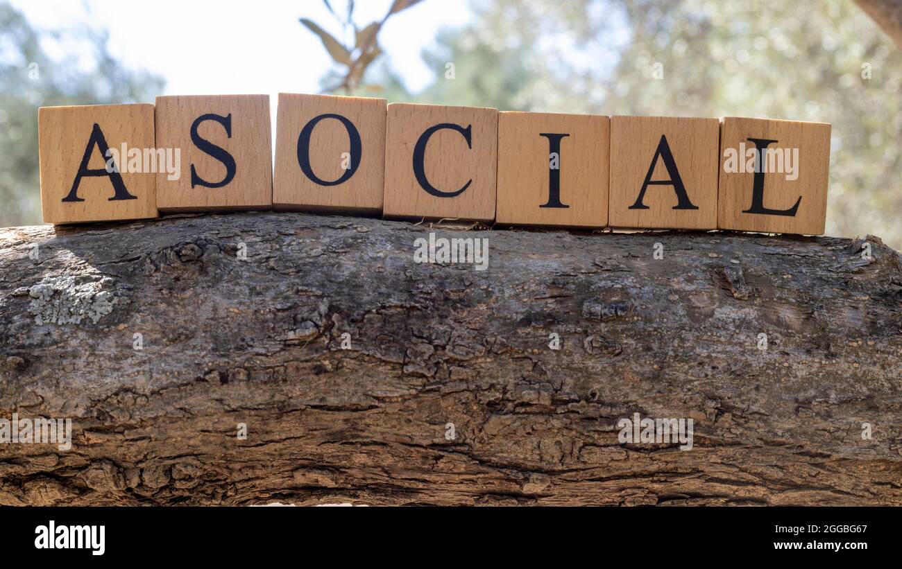 Word Asocial created from wooden cubes. Photographed on the tree Stock ...