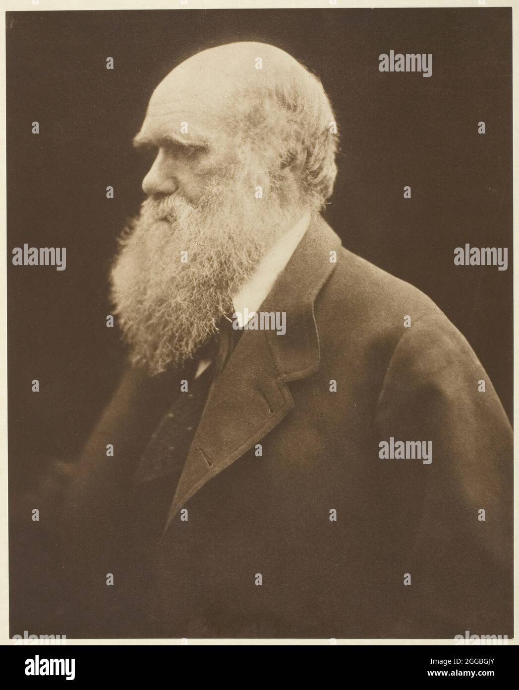 Charles Darwin, c. 1868, printed 1875. A work made of carbon print ...