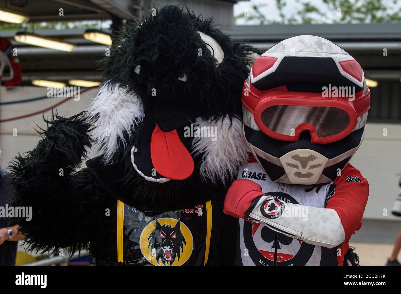 Wolverhampton wolves mascots hi-res stock photography and images - Alamy