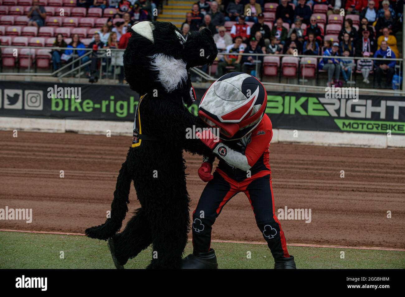 Wolverhampton wolves mascots hi-res stock photography and images - Alamy