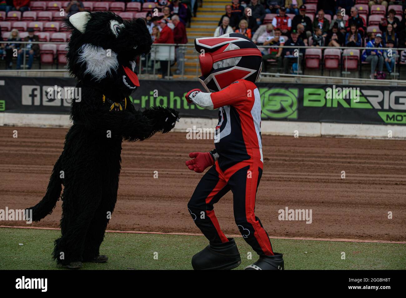 Wolverhampton wolves mascots hi-res stock photography and images - Alamy