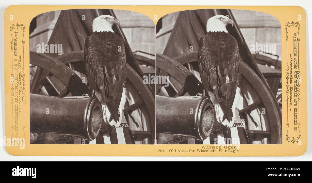 Old abe the eagle hi-res stock photography and images - Alamy