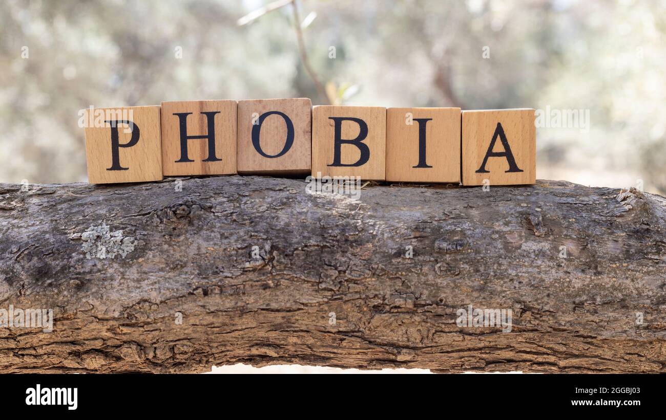 The word Phobia was created from wooden cubes. Photographed on the tree ...