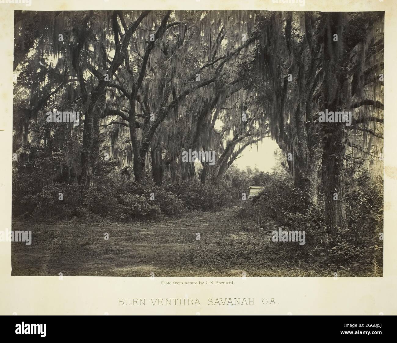 Buen-Ventura Savannah, Ga., 1866. Albumen print, plate 48 from the ...