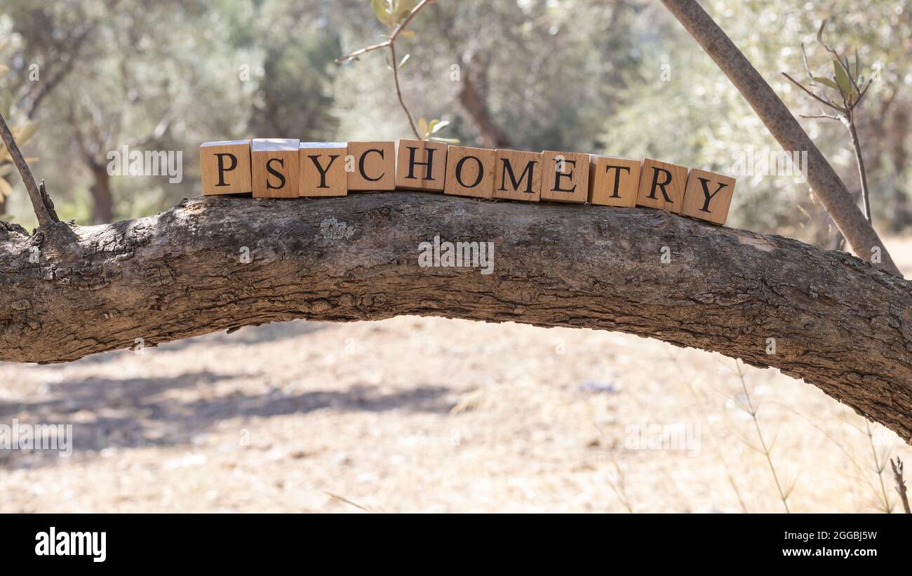 The word Psychometry was created from wooden cubes. Photographed on the ...
