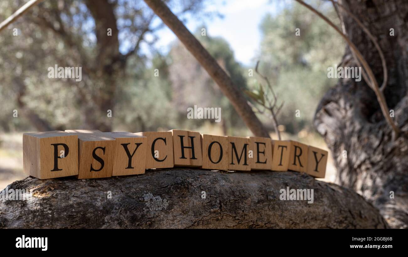 The word Psychometry was created from wooden cubes. Photographed on the ...
