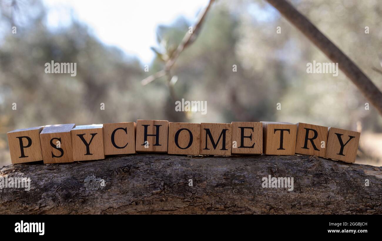 The word Psychometry was created from wooden cubes. Photographed on the ...