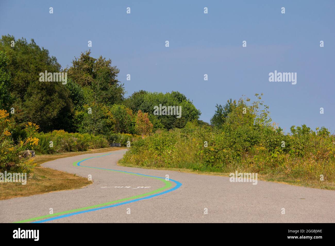 Bicycle path in a park Stock Photo - Alamy