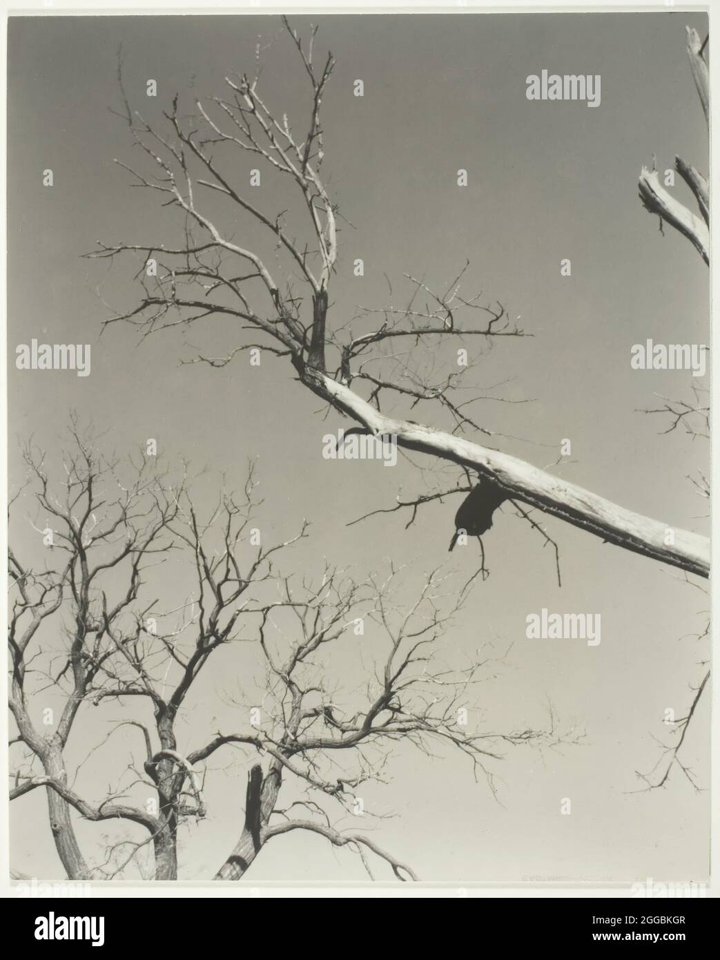 1920s art teacher hi-res stock photography and images - Alamy