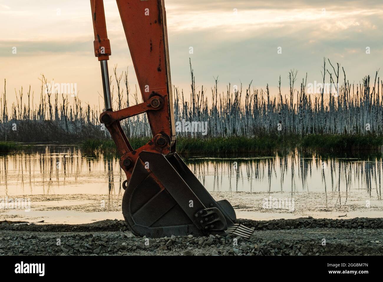 The excavator bucket stands in a swamp Stock Photo - Alamy