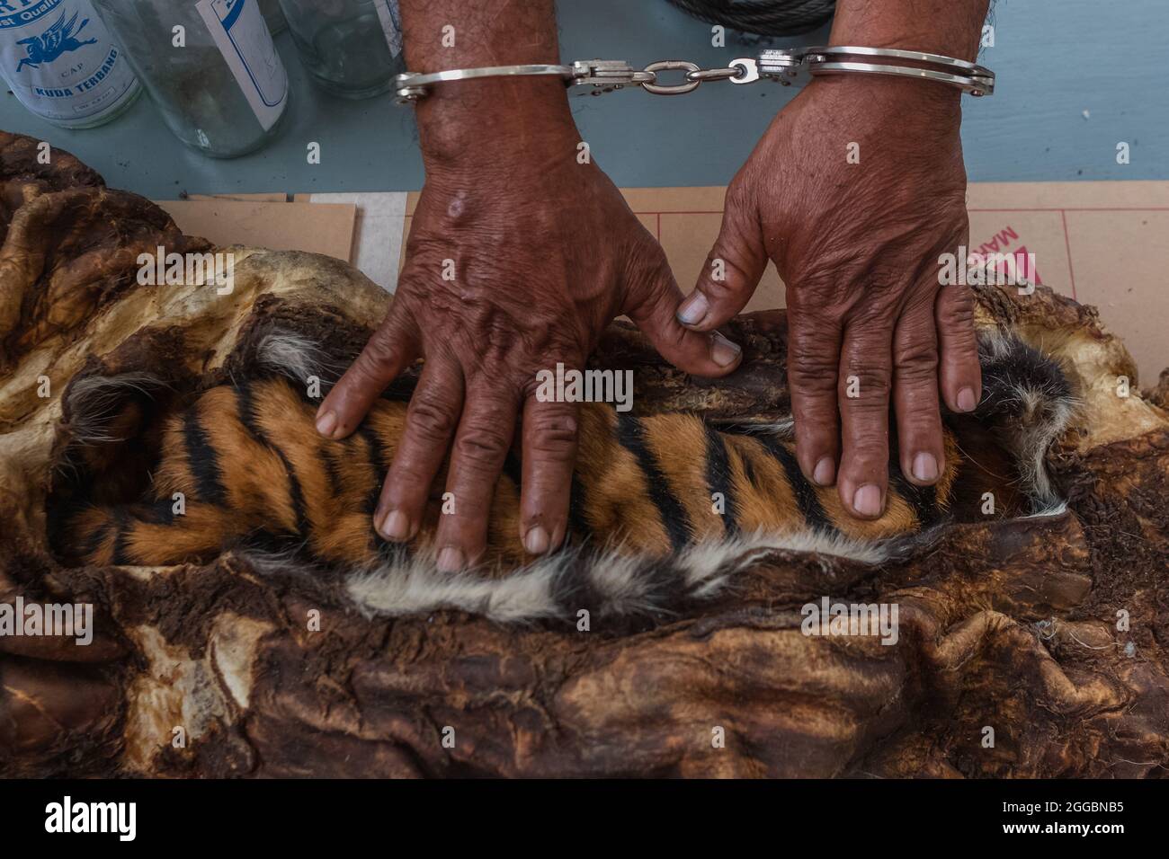 Tiger Poaching