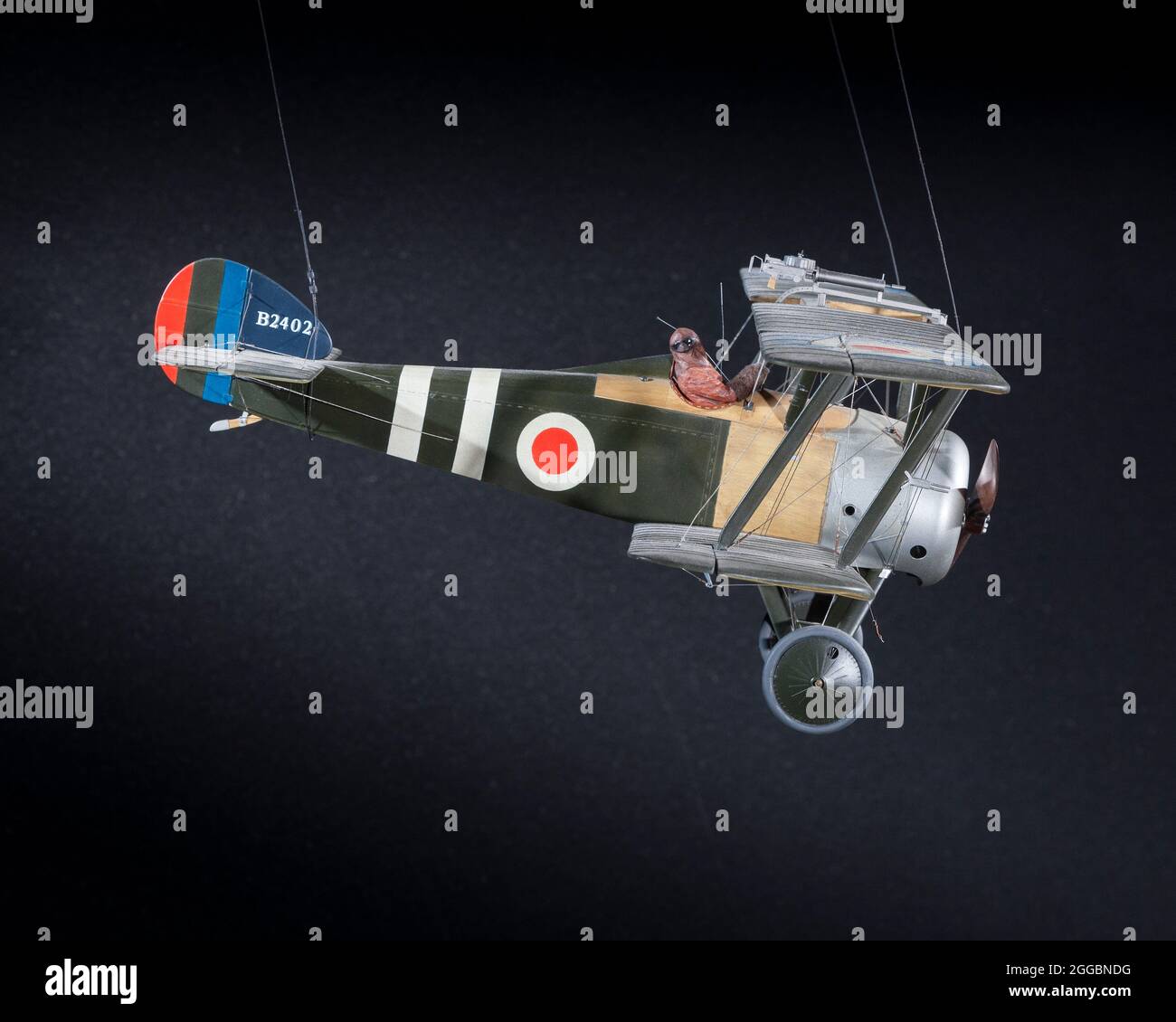 Sopwith camel ww1 hi-res stock photography and images - Alamy