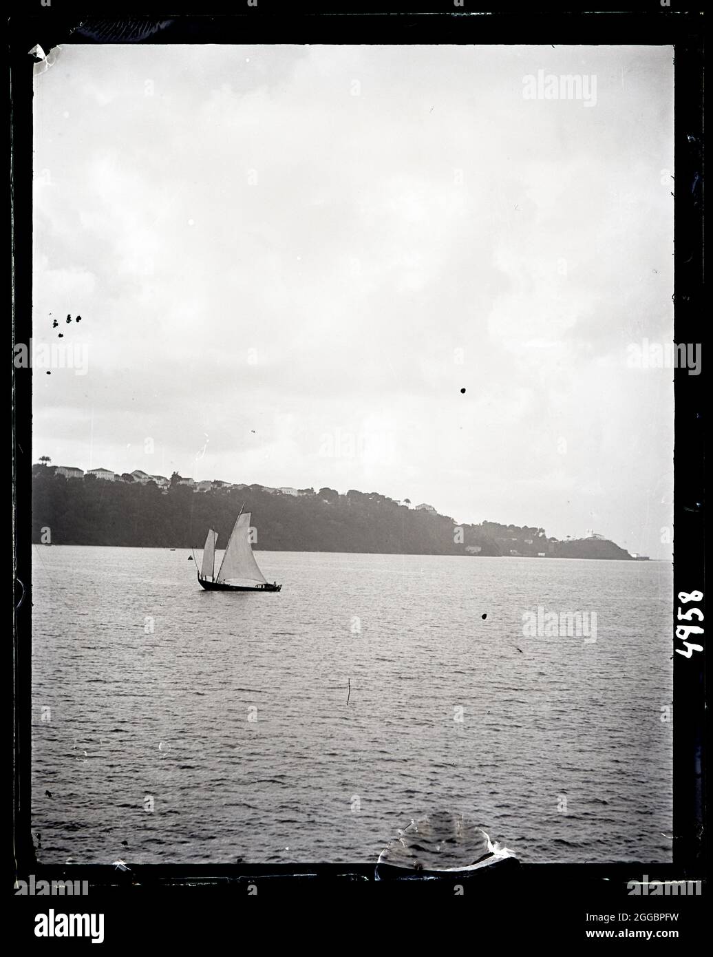 United States Fish Commission Steamer "Albatross" Circumnavigation of ...