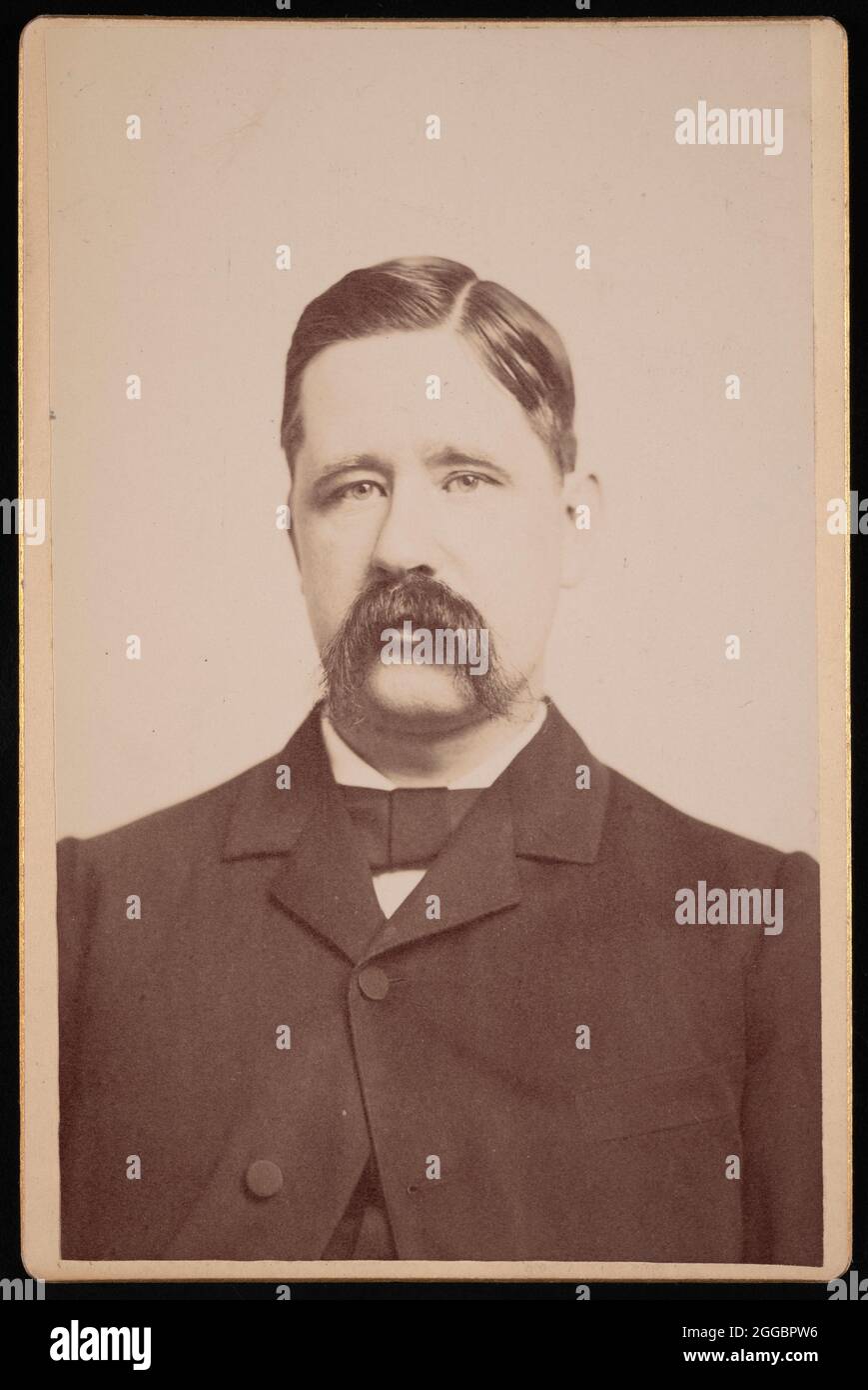 Portrait of William Keith Brooks (1848-1908), Before 1900 Stock Photo ...