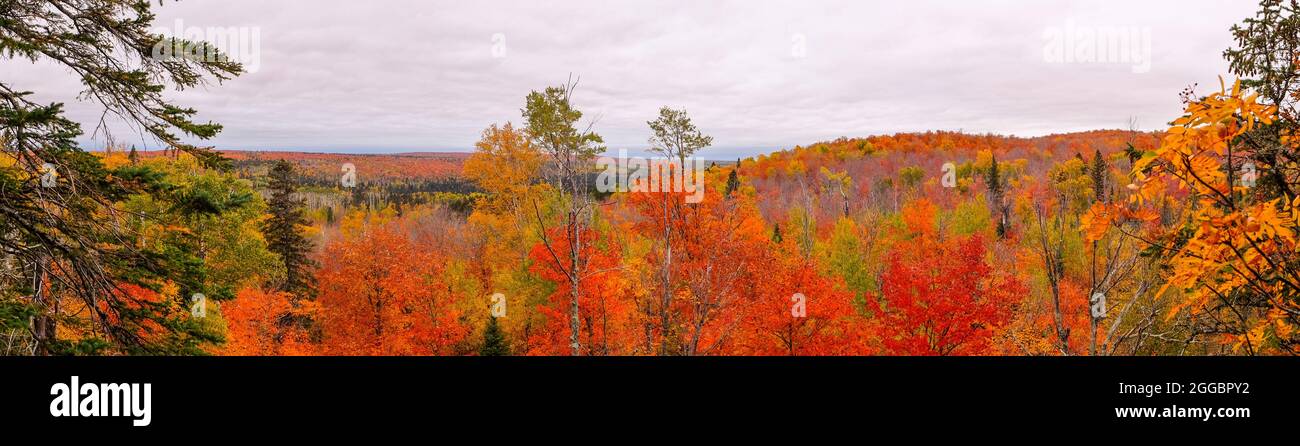 Autumn leaves from Britton Peak in the Lutsen Mountains, northerm ...
