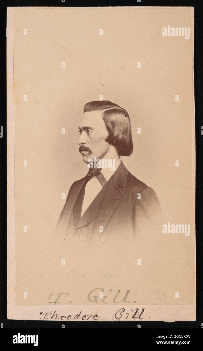 Portrait of Theodore Nicholas Gill (1837-1914), Between 1865 and 1870 ...
