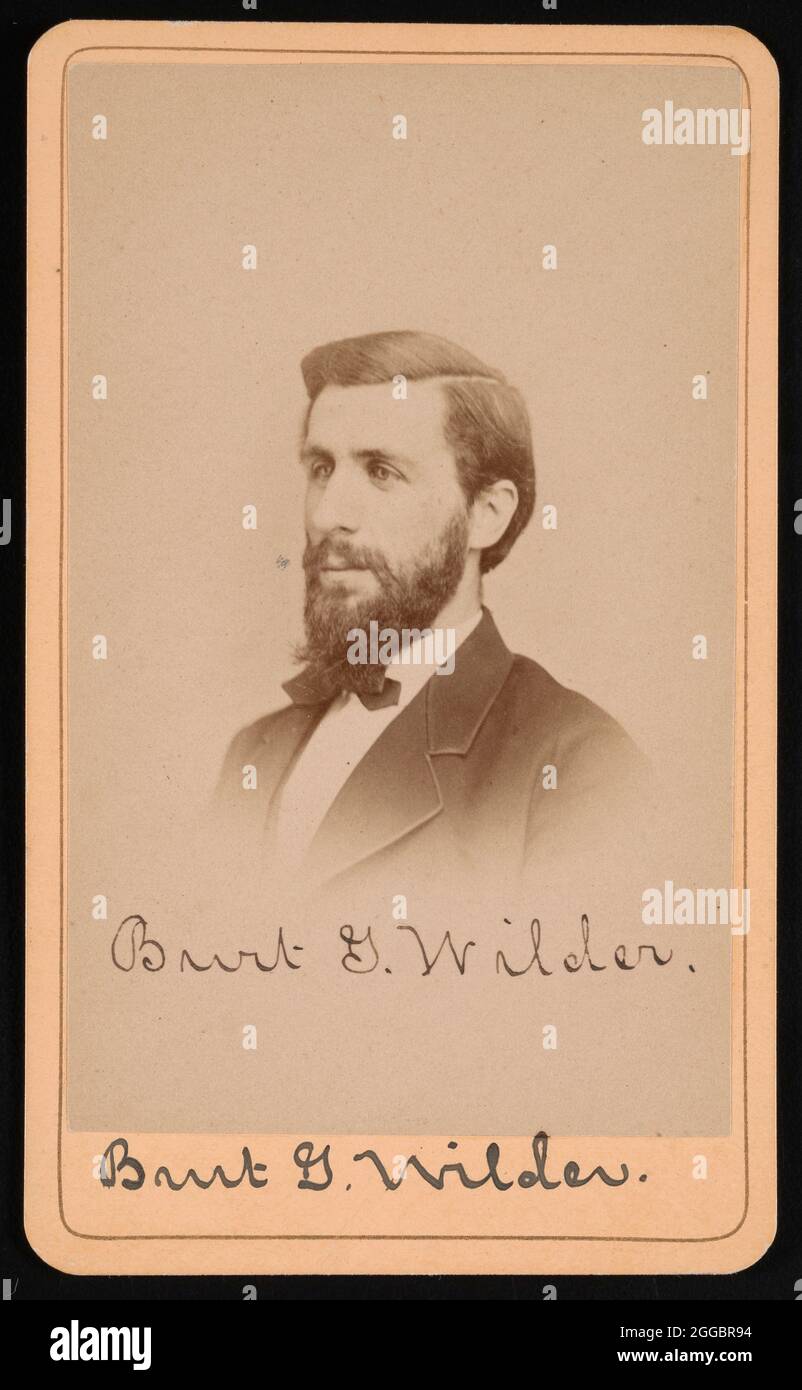 Wilder burt green hi-res stock photography and images - Alamy