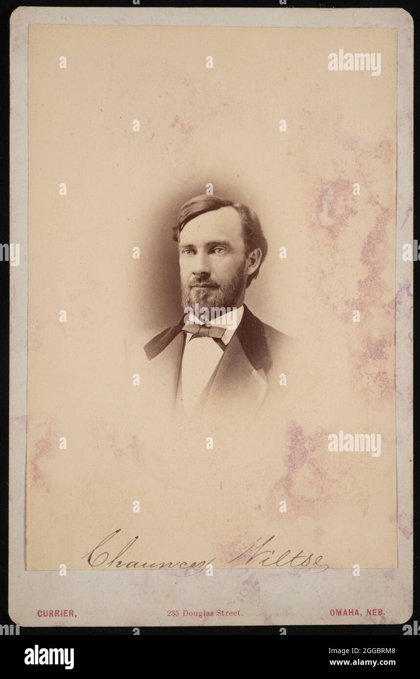 Portrait of Chauncey Wiltse (1834-1894), 1875-1876 Stock Photo - Alamy