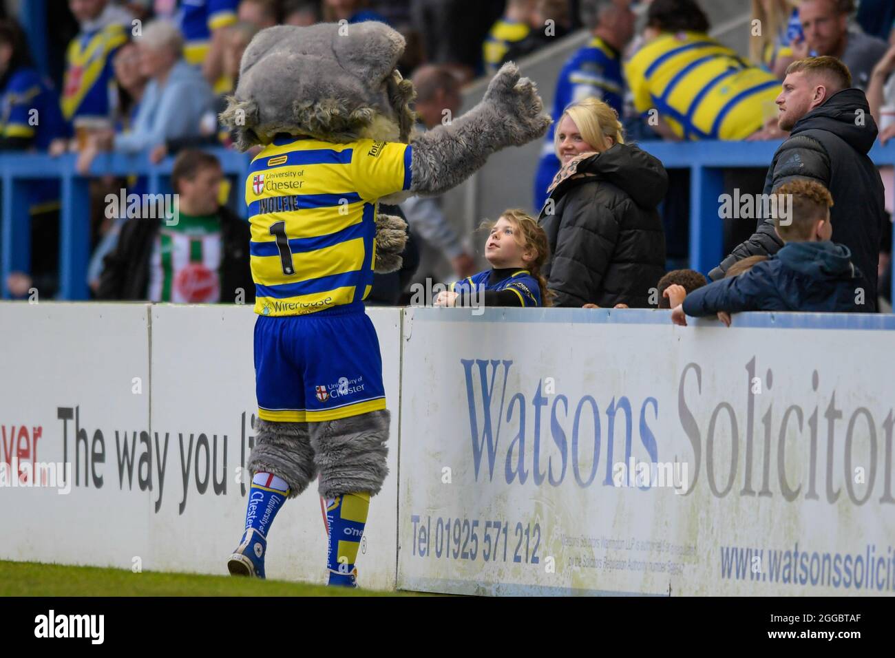 Wolves Mascot High Resolution Stock Photography and Images - Alamy