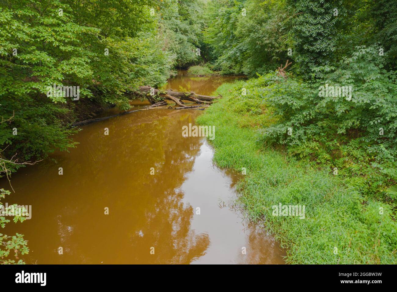 A small lowland river flowing through a forest covered with dense ...
