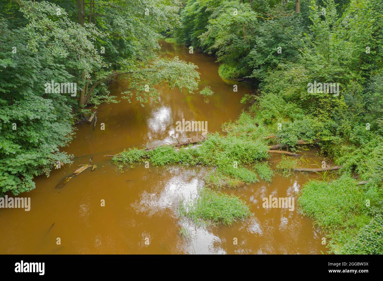 A small lowland river flowing through a forest covered with dense ...