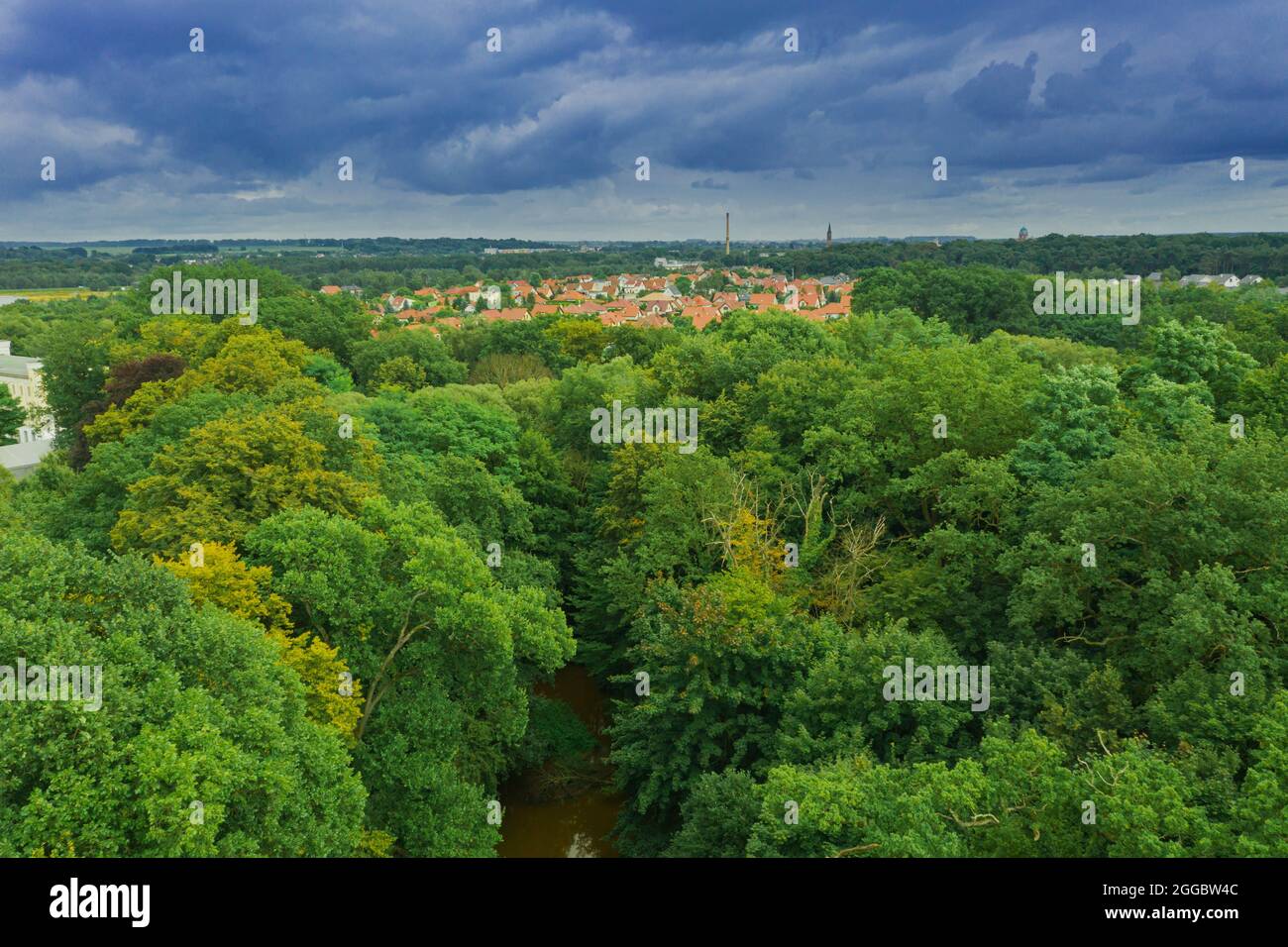 An estate of single-family houses in the middle of the forest. View ...