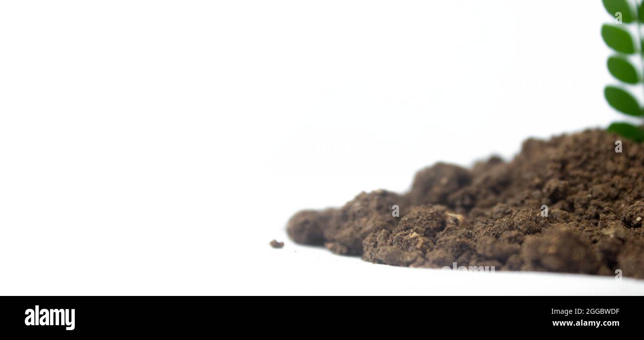 bio ground or soil substrate as frame or border isolated on white ...