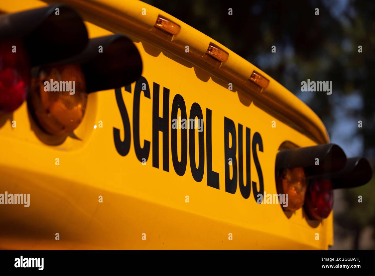 School buses line hi-res stock photography and images - Alamy