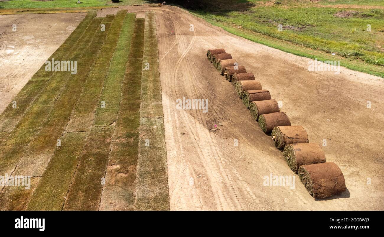 Rolls of new grass sod laid in fresh rows on dirt lot Stock Photo - Alamy