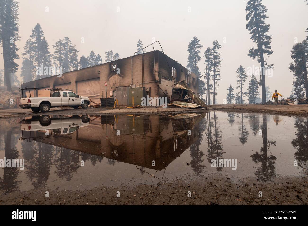 El Dorado Forest, CA, USA. 30th Aug, 2021. Larry Bopp of AIG surveys ...
