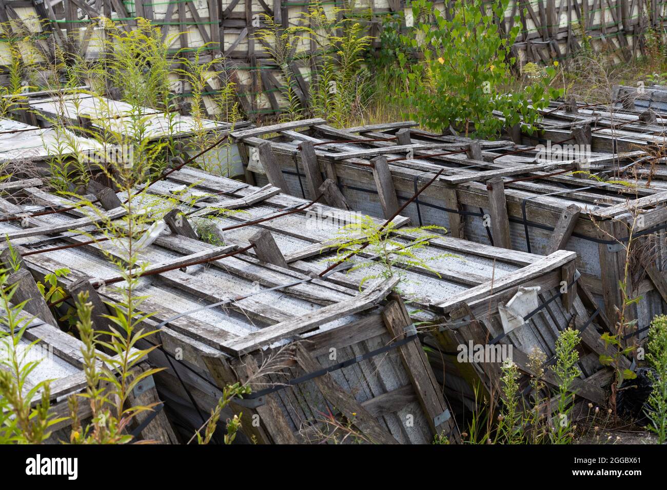 Exterior view of wooden boxes in a farm Stock Photo - Alamy