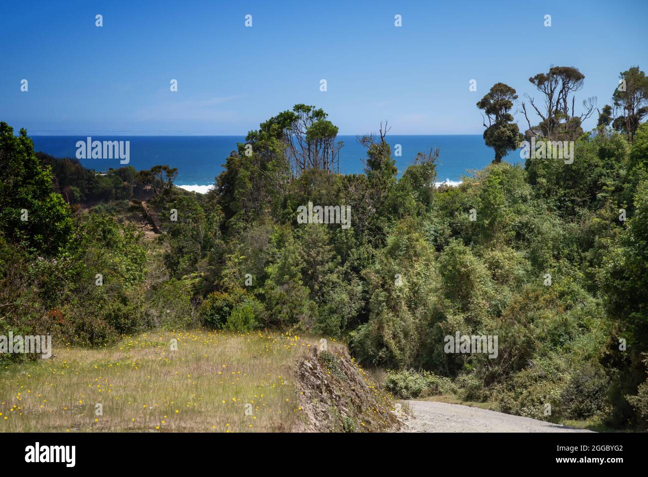 Nature on the coast of the Pacific in the Los Lagos region, southern ...