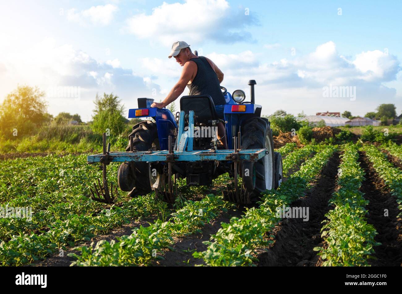 The farmer works in the field with a tractor. Agroindustry and ...
