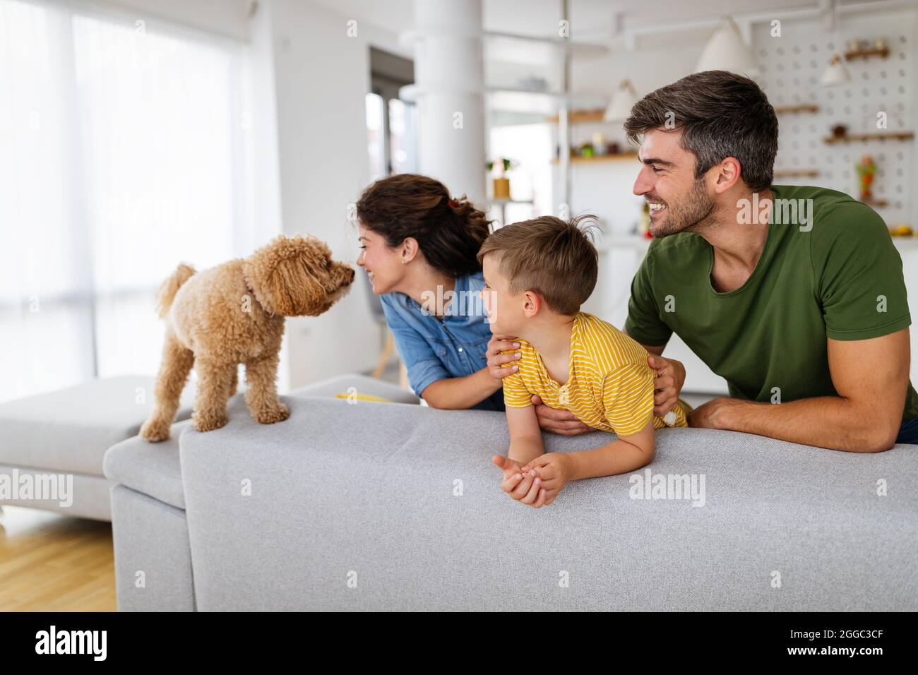 Happy family playing, having fun with dog at home Stock Photo - Alamy