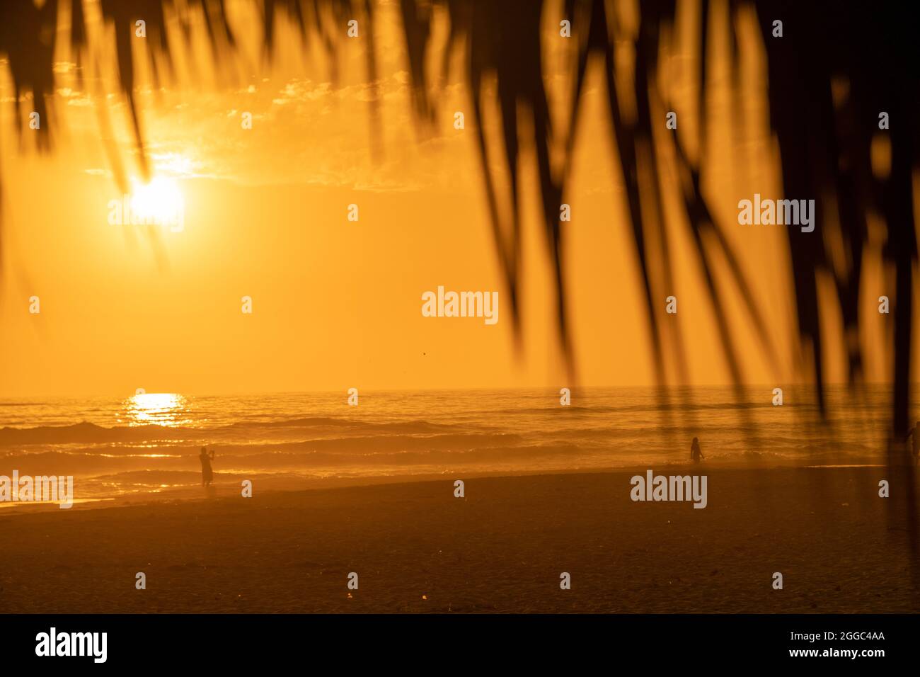 Beautiful sunset at a beautiful beach in Baja California, Mexico Stock ...