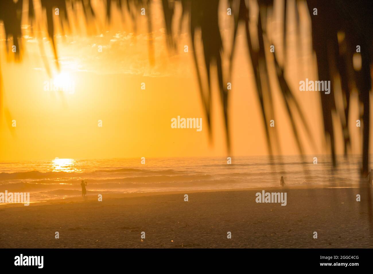Beautiful sunset at a beautiful beach in Baja California, Mexico Stock ...