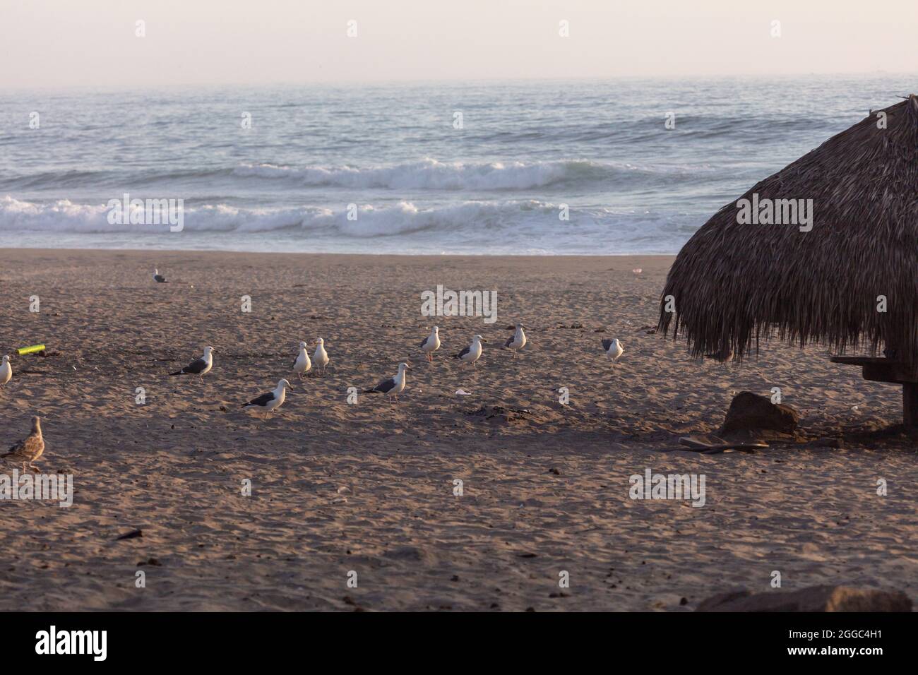 Beautiful sunset at a beautiful beach in Baja California, Mexico Stock ...