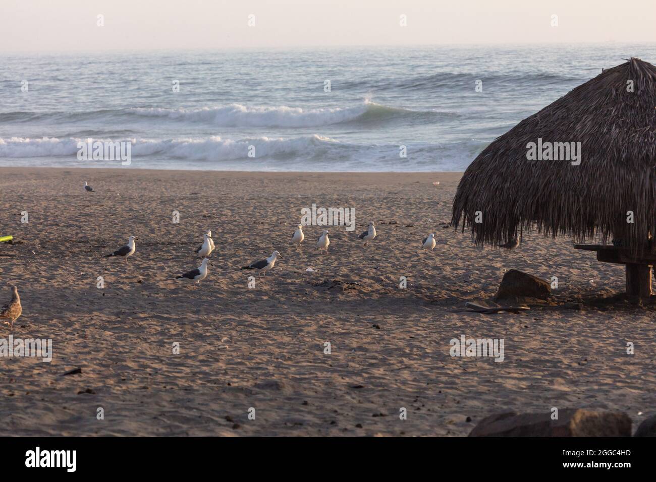 Beautiful sunset at a beautiful beach in Baja California, Mexico Stock ...