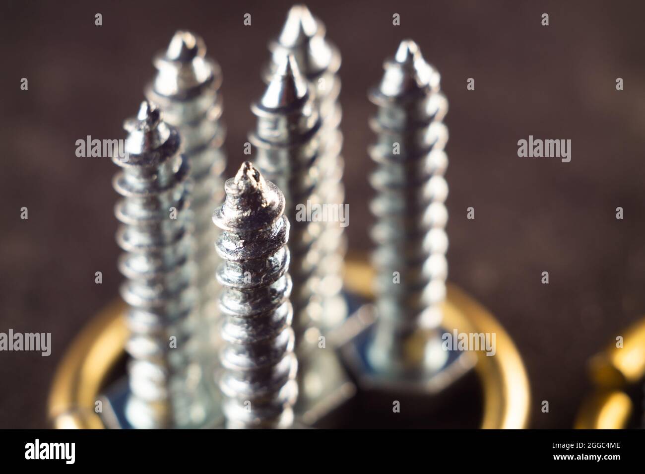 Gold screws hi-res stock photography and images - Alamy
