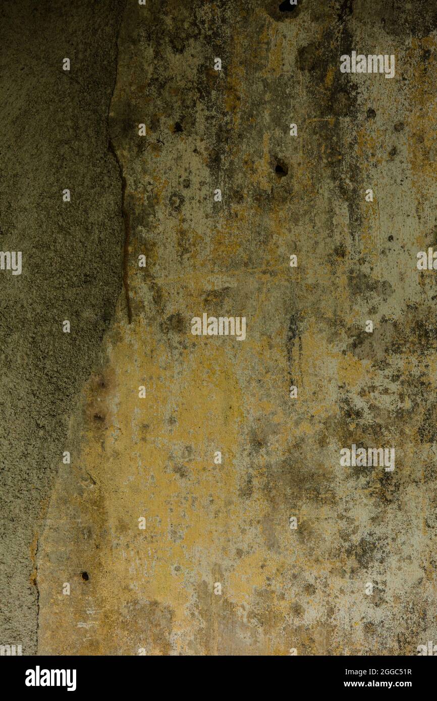 Yak beraya hi-res stock photography and images - Alamy