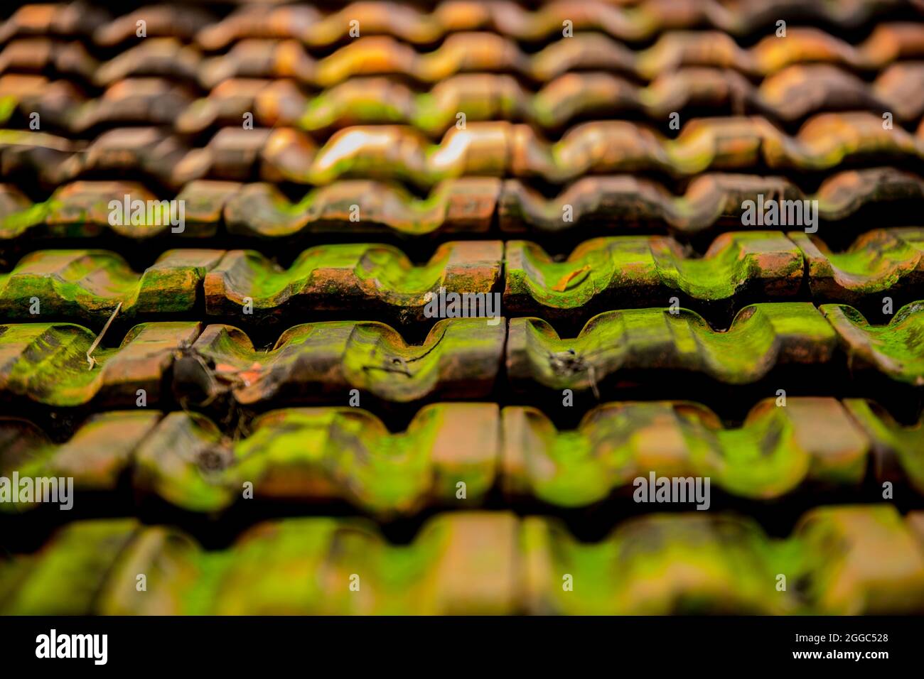 Traditional drum (YAK BERAYA) on white background Stock Photo - Alamy