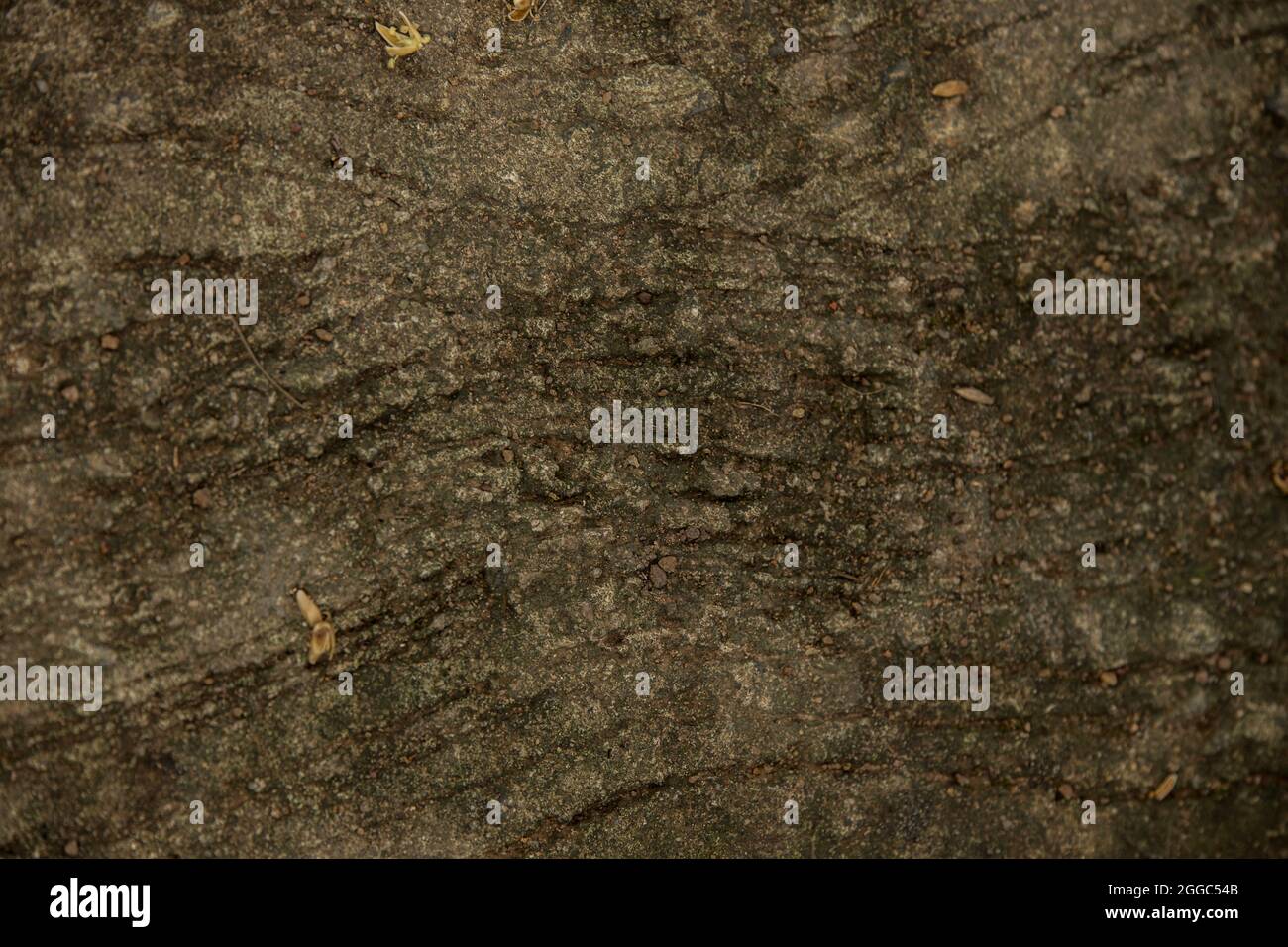 Traditional drum (YAK BERAYA) on white background Stock Photo - Alamy